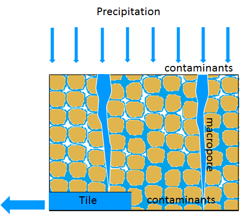 Preferential flow – Bahareh Hassanpour